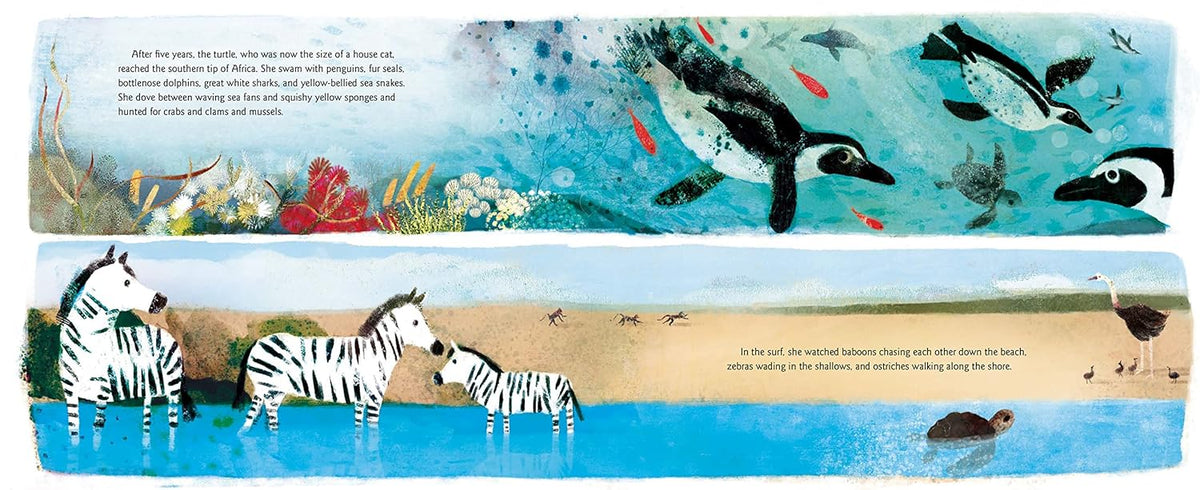 Yoshi, Sea Turtle Genius by Lynne Cox – Ali's Wagon